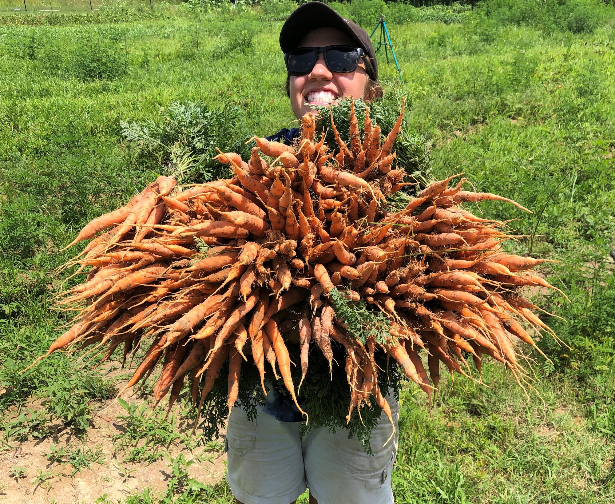 About Us – Kallan Farm